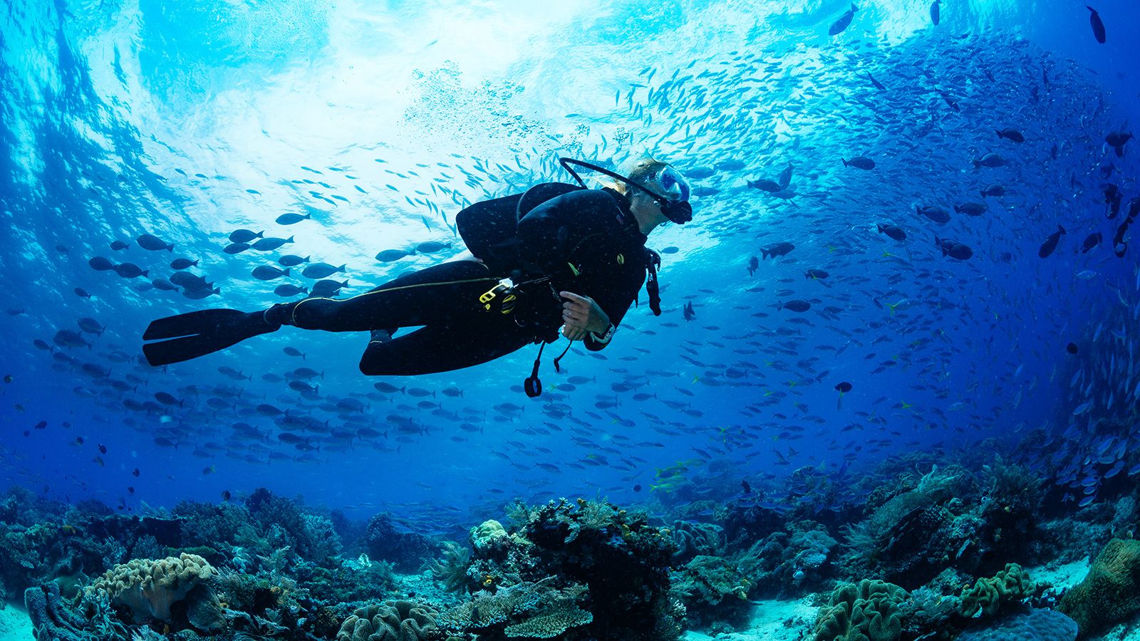 Deep dive: The best scuba gear to keep on board